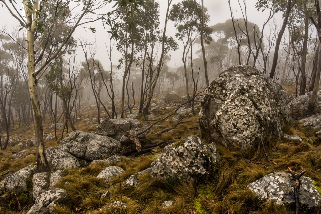 Our Region – Macedon Ranges Field Naturalists
