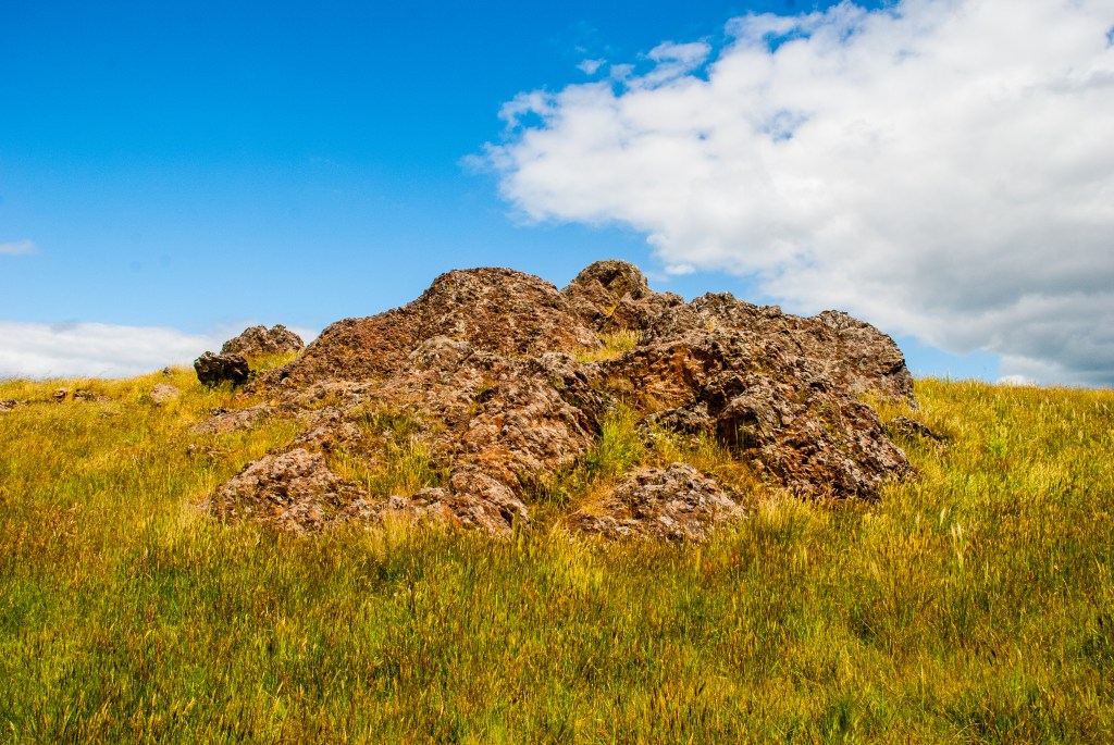Our Region – Macedon Ranges Field Naturalists