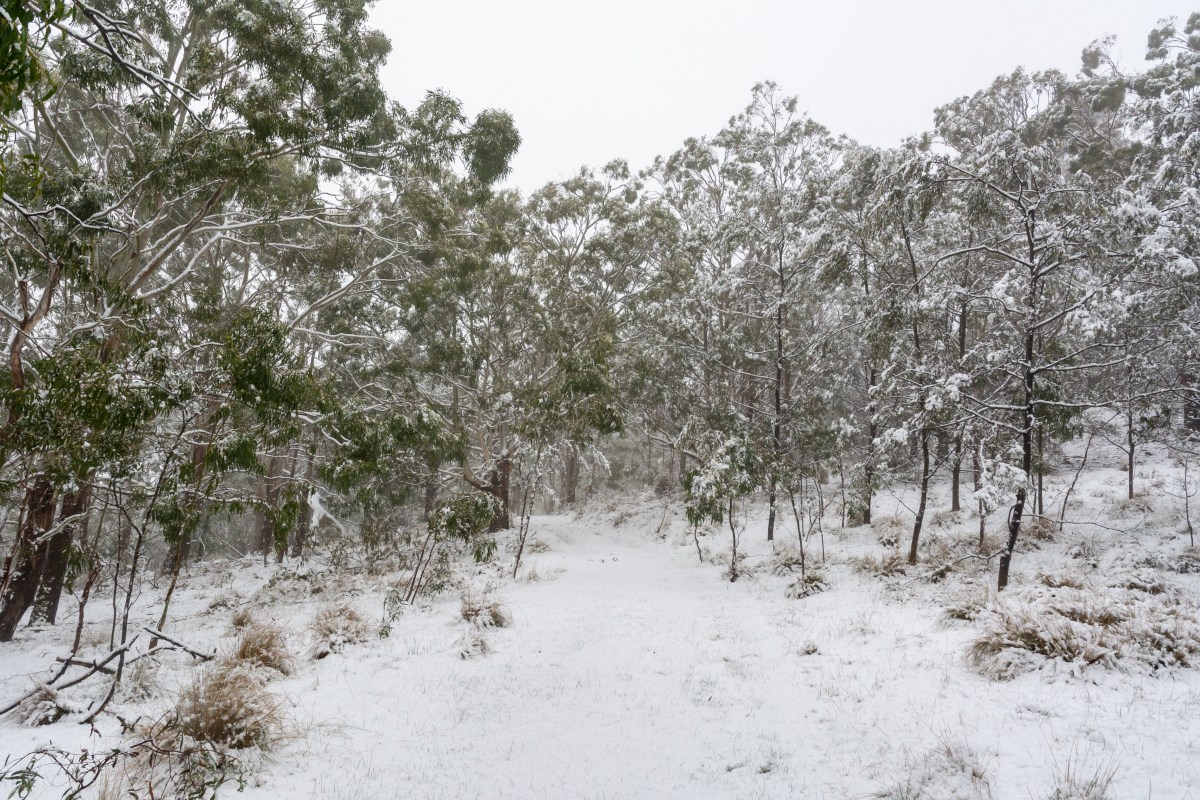 Our Region – Macedon Ranges Field Naturalists